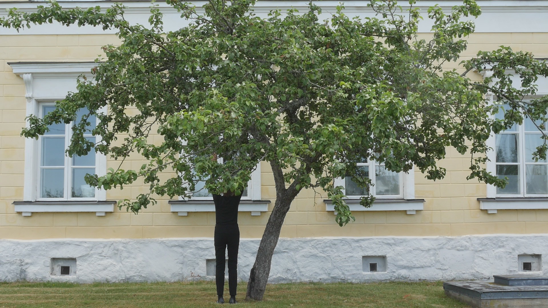 Living in a Monument – Meetings with Remarkable and Unremarkable Trees